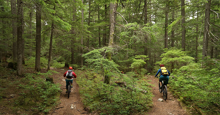 Investments - Focus Partners Wealth